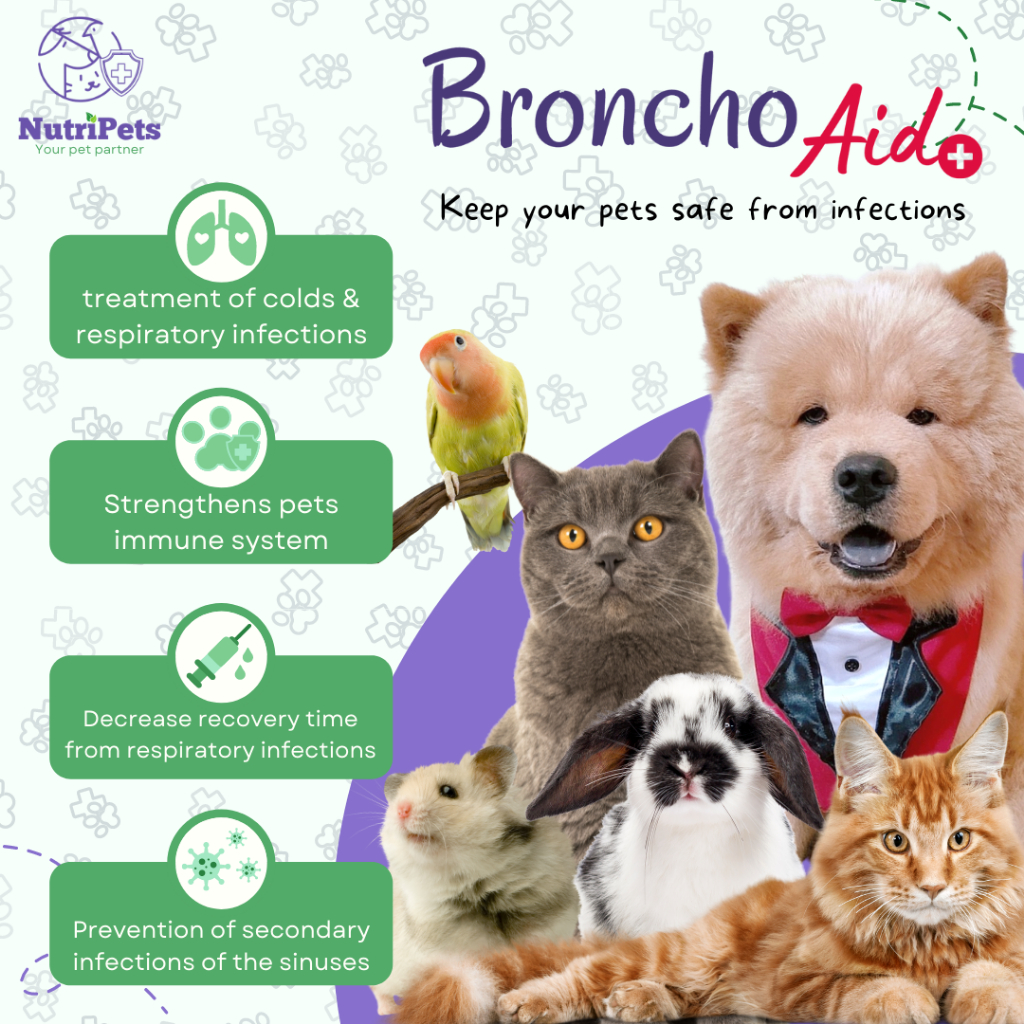 Broncho Aid 60ML For Respiratory infections, Coughs,Sneezing,Colds ...