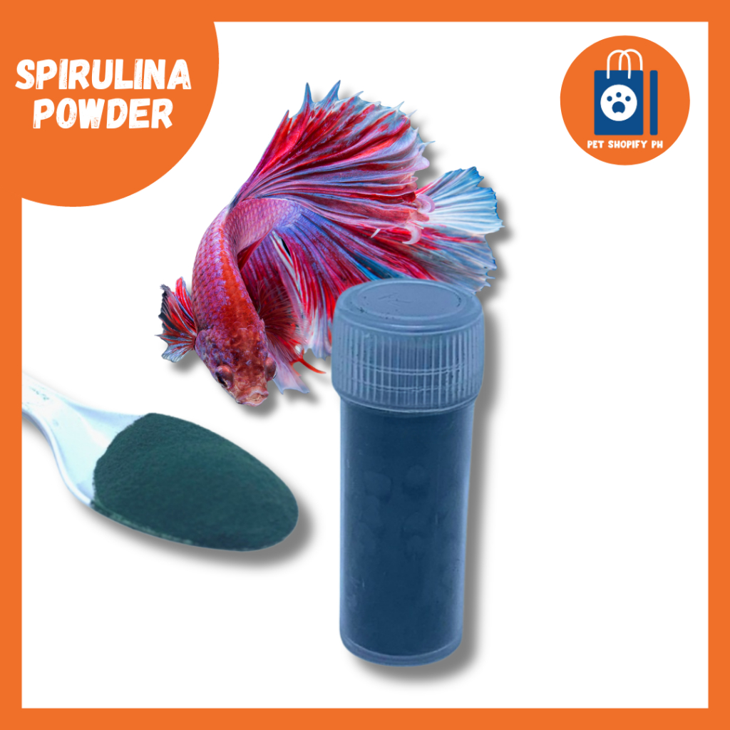Spirulina Natural Fish Color Enhancer Pure Powder 5grams | Shopee ...