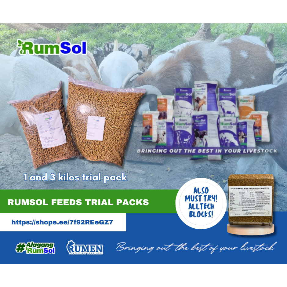 Rumsol Feeds Trial Pack (1 kg & 3 kgs pack) | Shopee Philippines