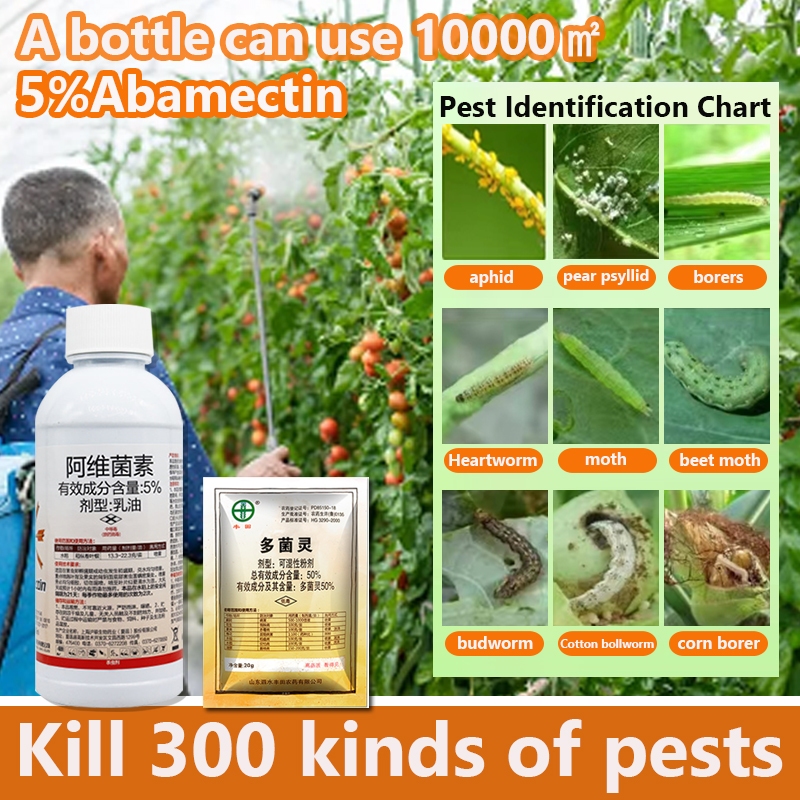 WDF Insecticide for vegetables 100ML | Shopee Philippines