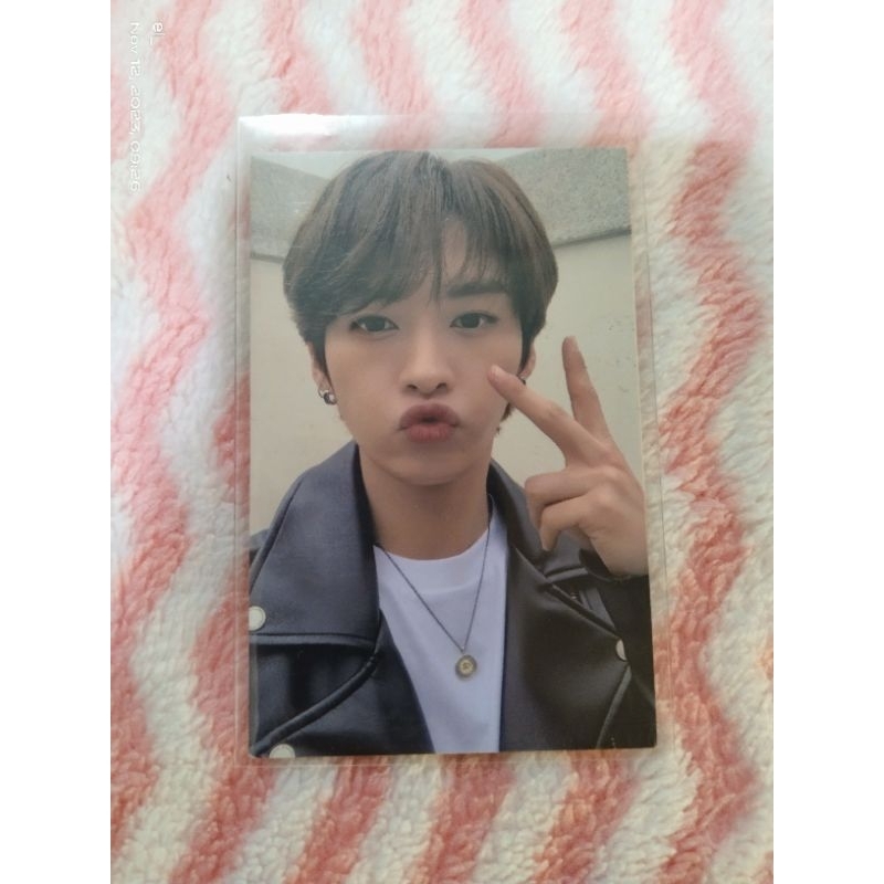 Stray Kids Lee Know Go Live Official Photocard | Shopee Philippines