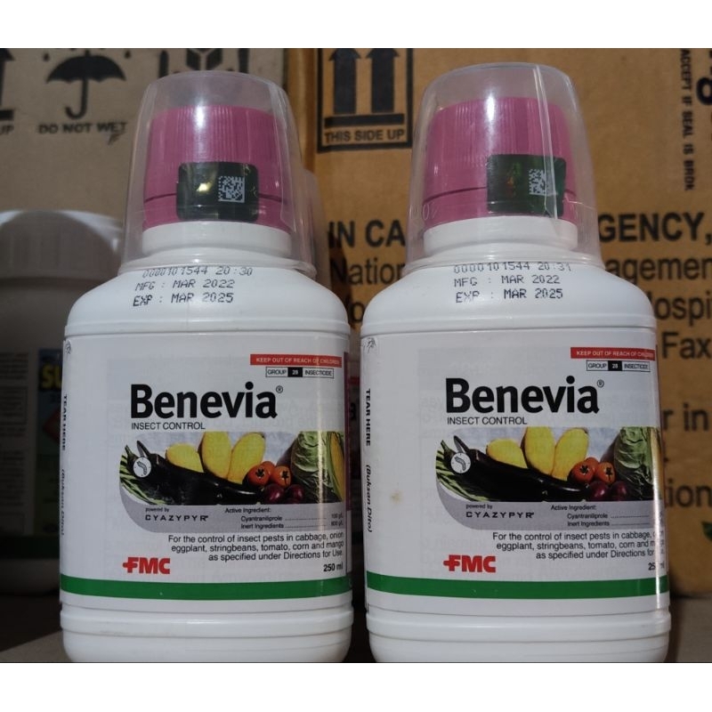 Benevia Insecticide 250ml | Shopee Philippines