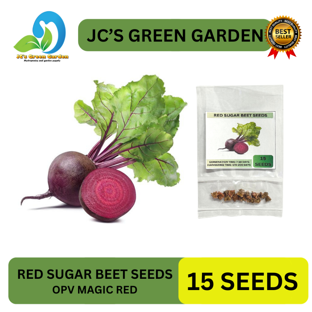 VALUE PACK (15 SEEDS) OPV MAGIC RED SUGAR BEET SEEDS/RED MAGIC/HYBRID ...
