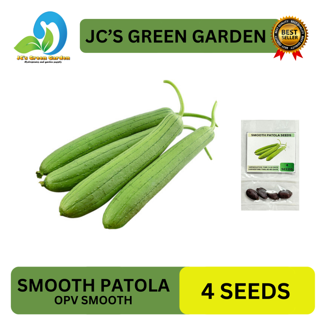 VALUE PACK (4 SEEDS) F1 SMOOTH PATOLA LONG/HYBRID/EASY TO GROW/HIGH ...