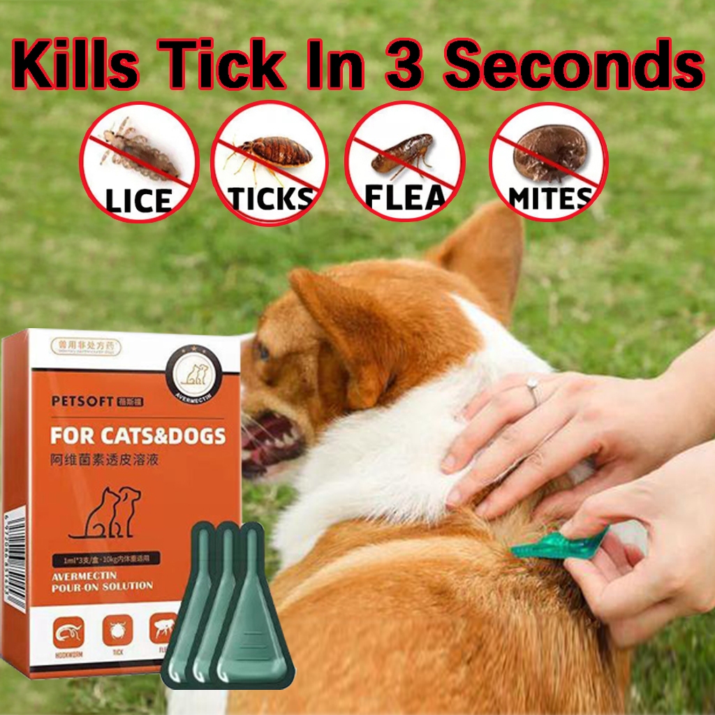 Tick and Flea Remover Anti Tick Garapata Flea Pulgas & Lice Kuto Tick ...