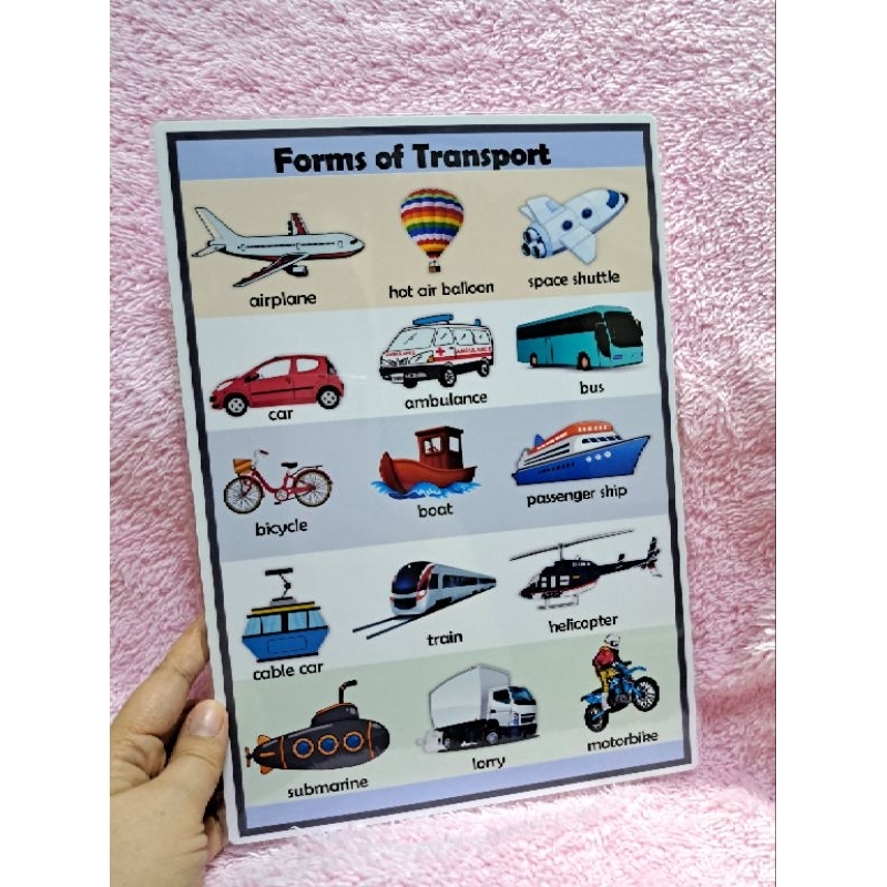 Forms of Transportation Charts for kids (teacher pher) | Shopee Philippines