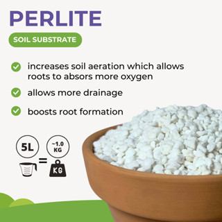 Perlite 5L Soil Substrate by Plant Culture PH | Shopee Philippines