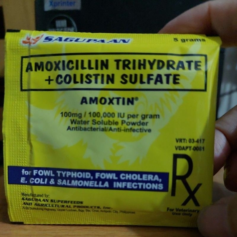 Sagupaan Amoxtin powder (1sachet) | Shopee Philippines