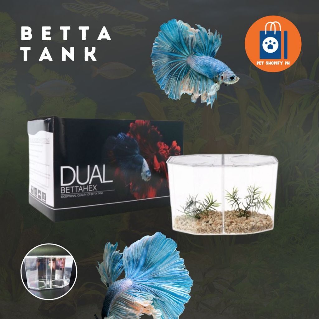 2-in-1 CLEAR BETTA TANK with led (with DIVIDER and COVER) | Shopee ...