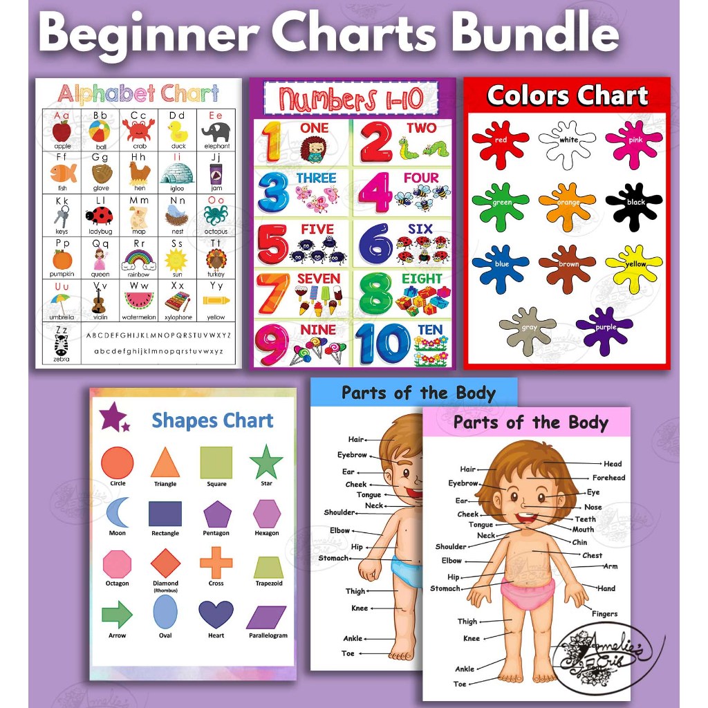 Bundle of 5 Beginner Minimalist Laminated Educational Charts for kids ...