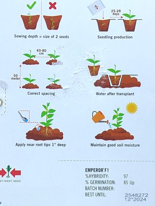 EAST-WEST SEED EMPEROR F1 HYBRID SWEET PEPPER / BELL PEPPER / ATSAL ...