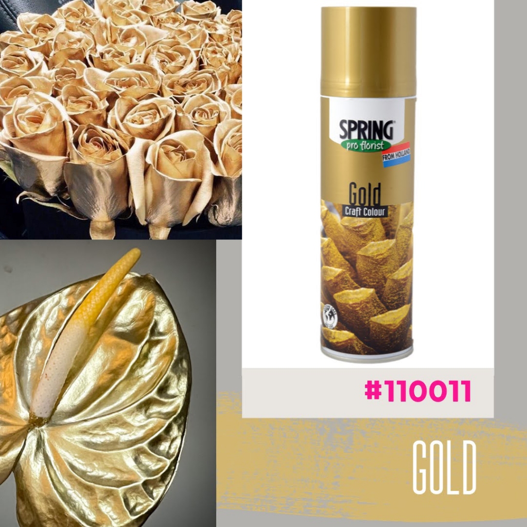 Floral Spray Paint Color Spray Paint for fresh flowers & others Spring ...