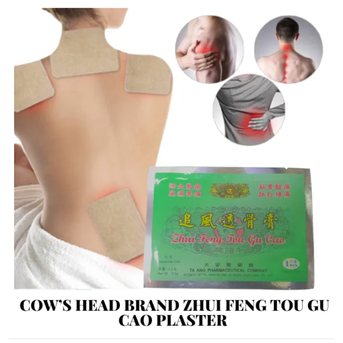 Zhui Feng Tou Gu Cao Plaster (1 Pack) | Shopee Philippines
