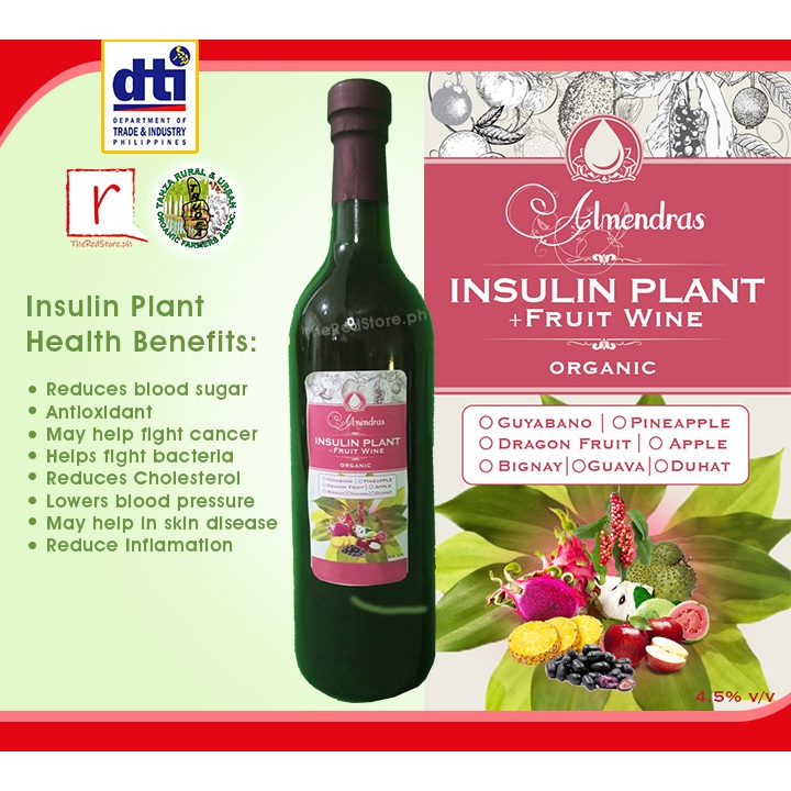 Insulin Plant Extract + Fruit Drink ( Guyabano, Bignay, Dragon Fruit ...