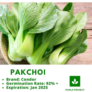 pechay - Best Prices and Online Promos - Nov 2024 | Shopee Philippines