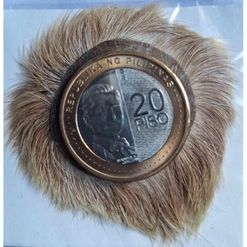 Big Size Pilikmata ng Kambing Goat Eyelash Pilik Mata Ng Kambing ...