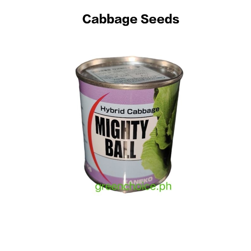 Mighty Ball Cabbage Seeds 50g | Shopee Philippines