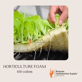foam - Best Prices and Online Promos - Apr 2024 | Shopee Philippines