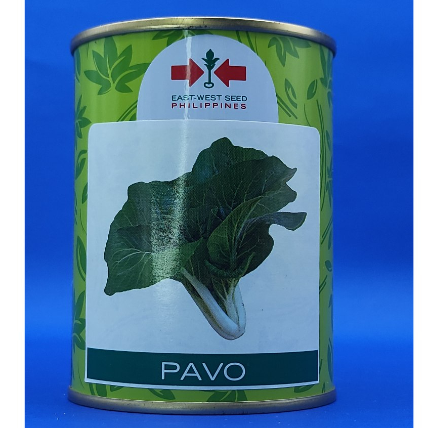 EAST-WEST SEED PAVO OPV PECHAY SEEDS BLACK BEHI TYPE PETCHAY SEEDS CAN ...