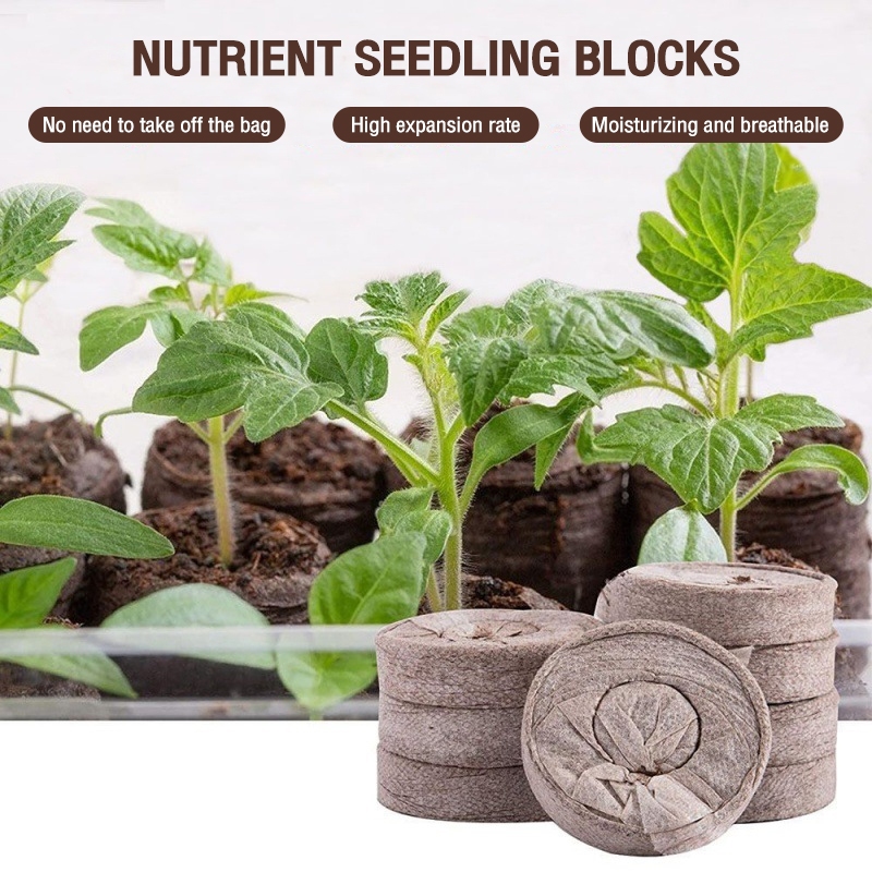 Cultivated seeds, non-woven seedling blocks, compressed peat blocks ...