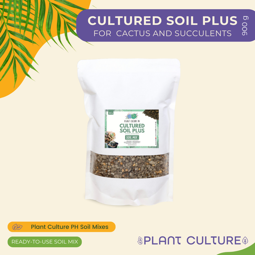 Cultured Soil Plus 900g For Cactus And Succulents | Shopee Philippines
