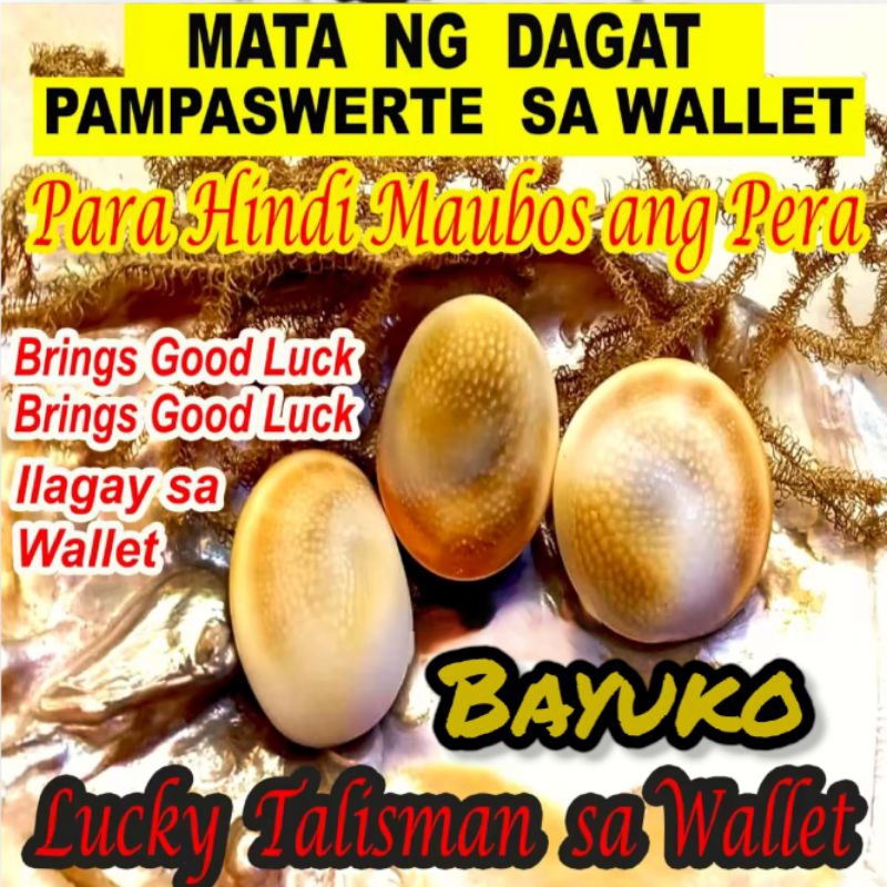 Bayuko Charms | Pacific's Cat Eye or Shiva Eye Shell | Shopee Philippines