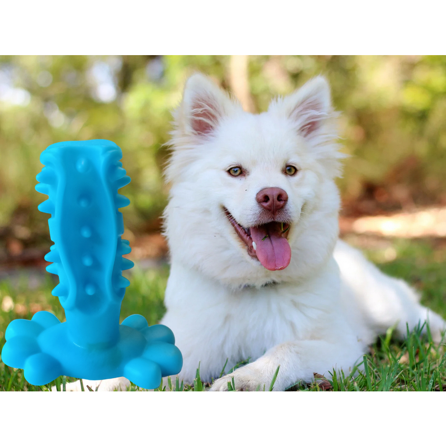 1-5pcs 20cm Dog Toothbrush Chew Toys Teeth Cleaning Toy Durable Tough ...