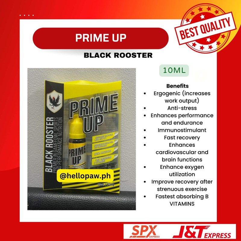 Black Rooster Prime Up (ACTUAL PHOTO) | Shopee Philippines