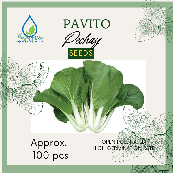 Pechay Pavito Seeds Approx.100 + pcs per pack | Shopee Philippines