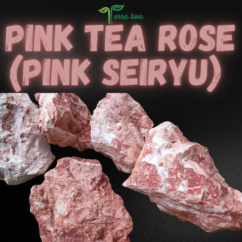 DRAGON STONE, BLACK SEIRYU STONE AND RYUOH STONE FOR AQUARIUM AND ...