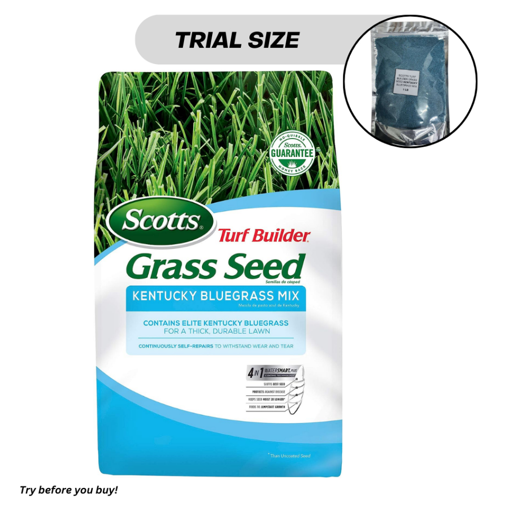 Trial Size Scotts Turf Builder Grass Seed Kentucky Bluegrass Mix - 1lb | Shopee Philippines