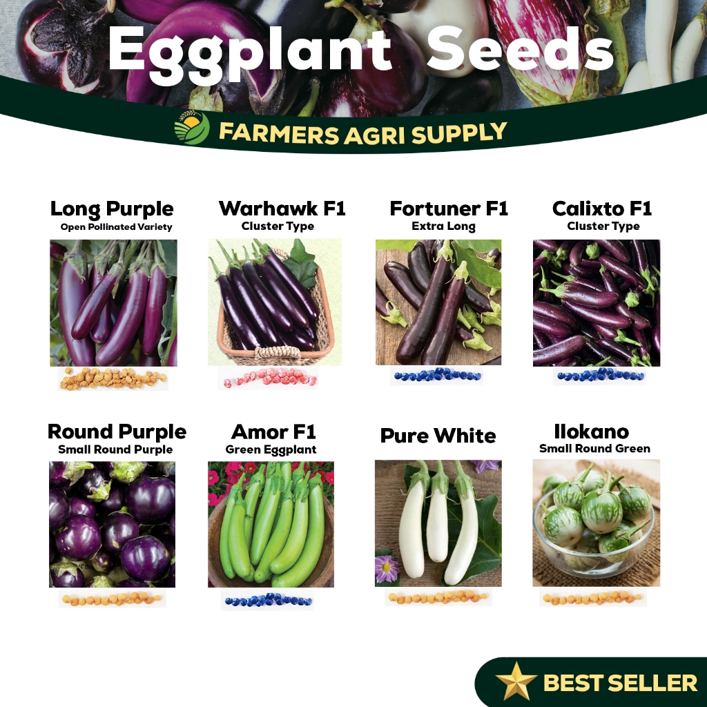 Eggplant Seeds - Long Purple Talong Warhawk F1 Ilocano Bilog Pure White ...