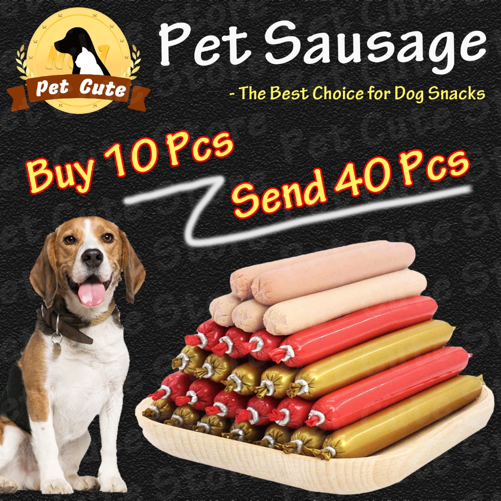 Dog treat Buy 10 Pcs Ship 40 Pcs Dog Treats Pet Treat Dog Snack Pet ...