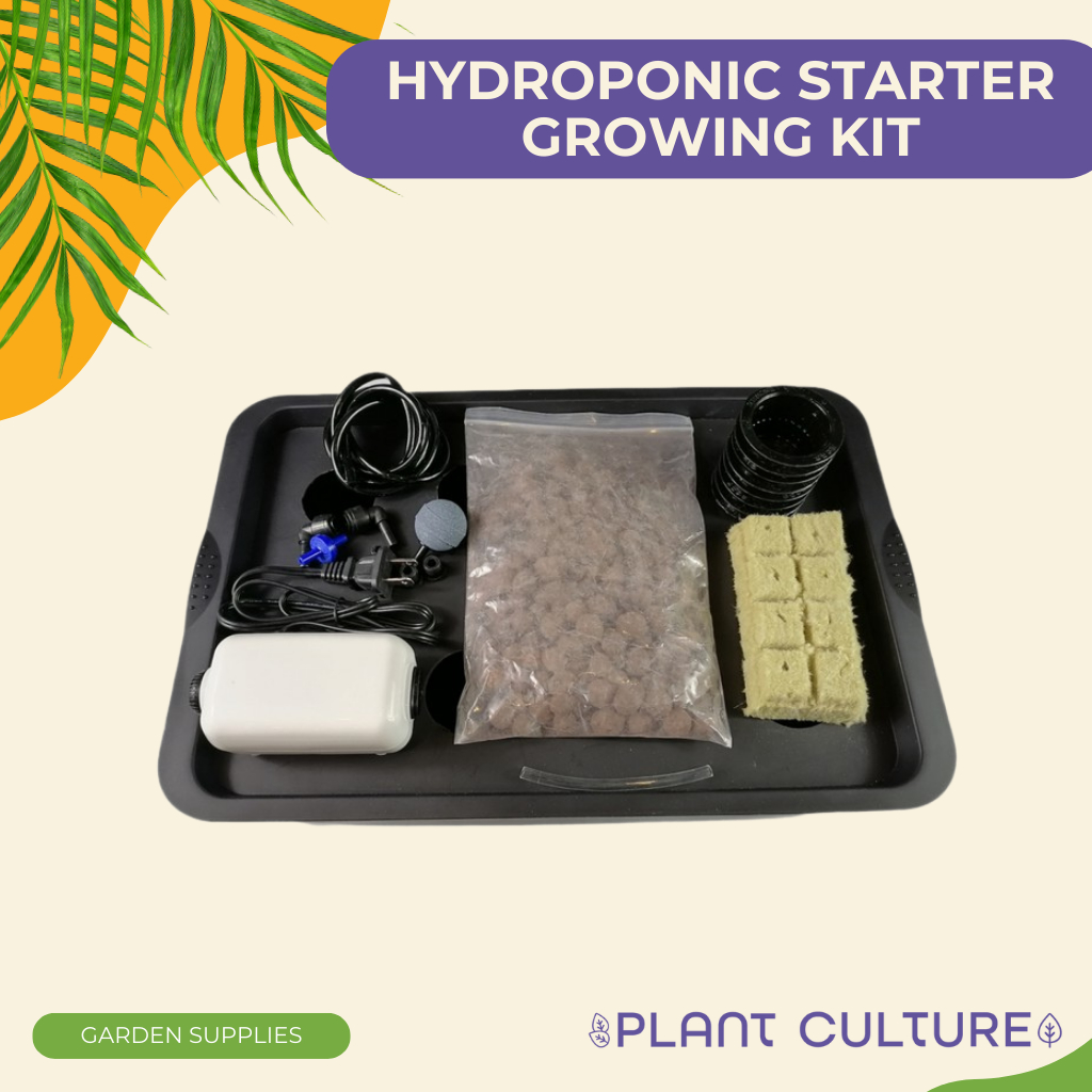 Hydroponic Starter Growing Kit Indoor Gardening For Beginners | Shopee ...