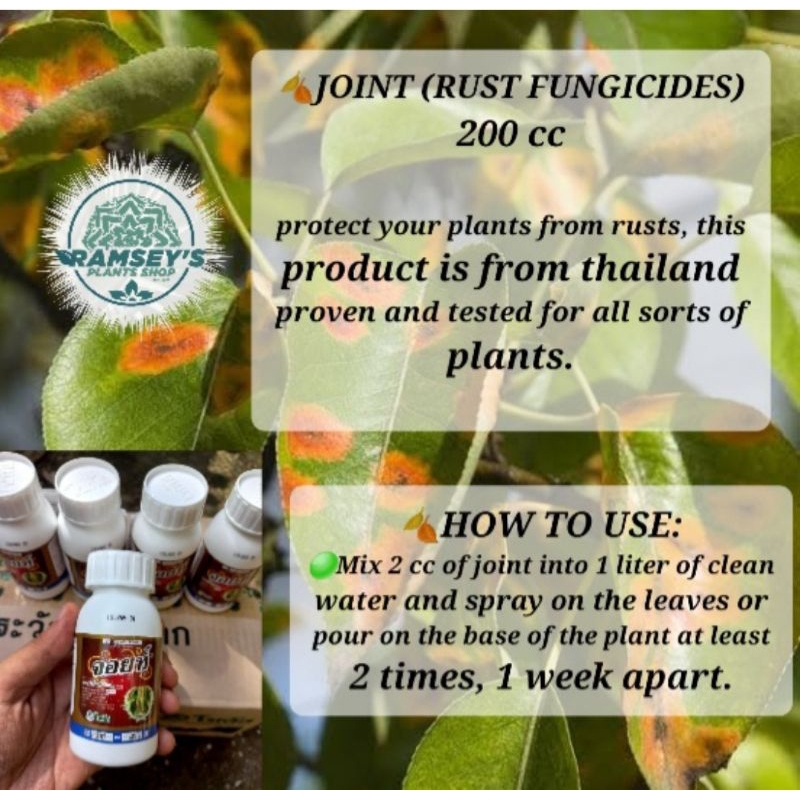 RUST FUNGICIDE-JOINT(PRODUCT OF THAILAND)🇹🇭 | Shopee Philippines