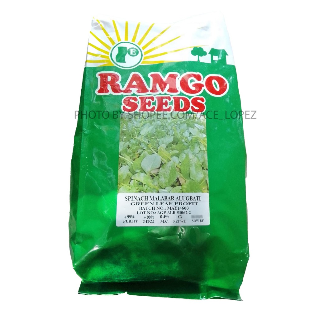 Ramgo Alugbati Green Spinach Lalabar Green Leaf Kilo Pack ALS2127 ...