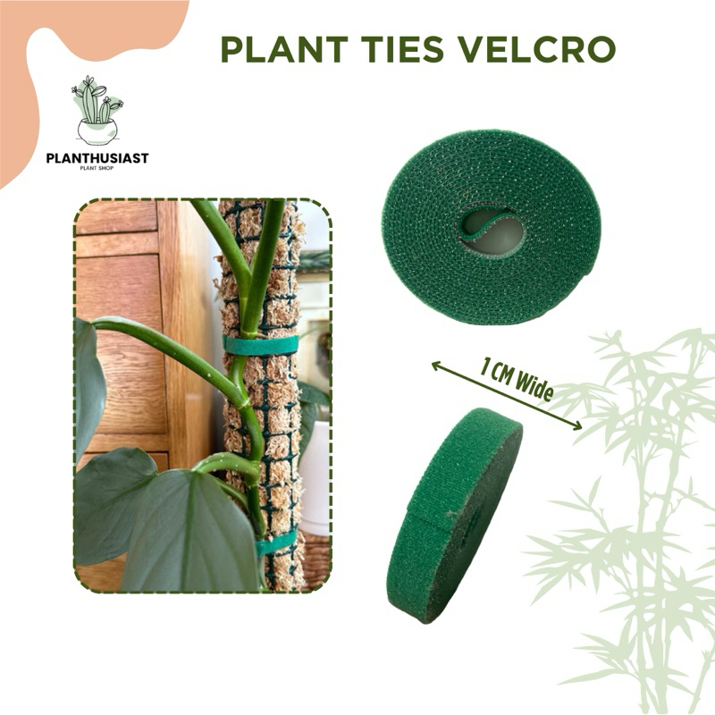 2M 5M Plant Ties Velcro | Garden Ties | Shopee Philippines