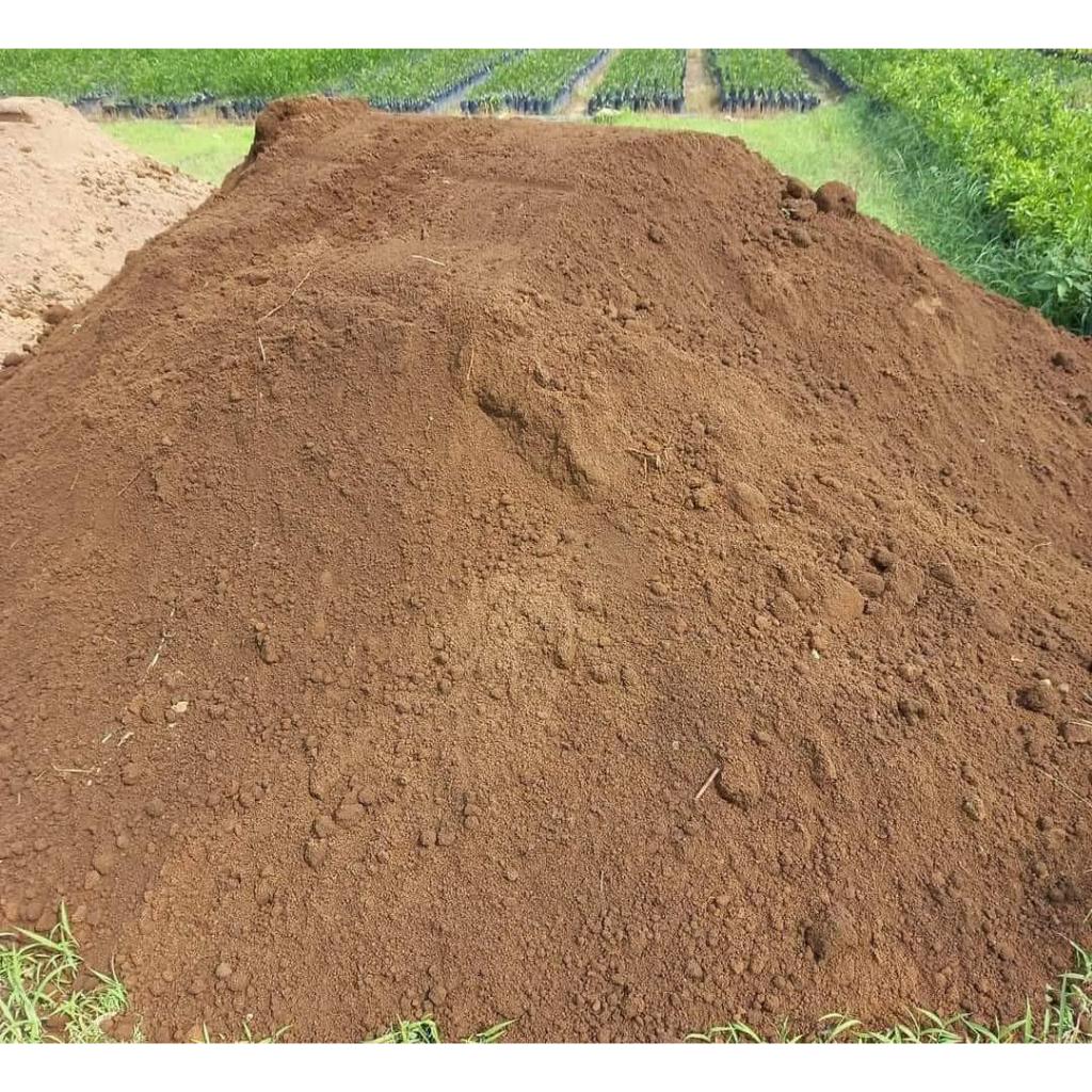 50 PESOS Pure Garden Soil (9-10 kg) - Ready to Use - Best for Indoor ...