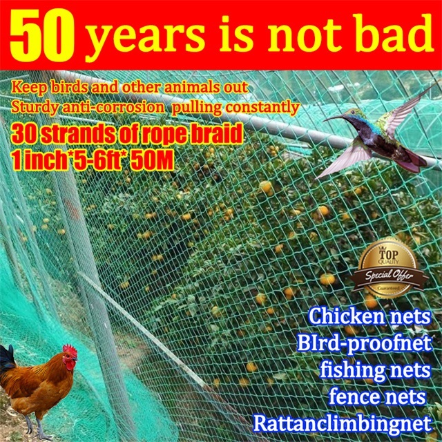 50years is not bad Chicken Net 50 meters Farm Net Ranging Net Range Net ...