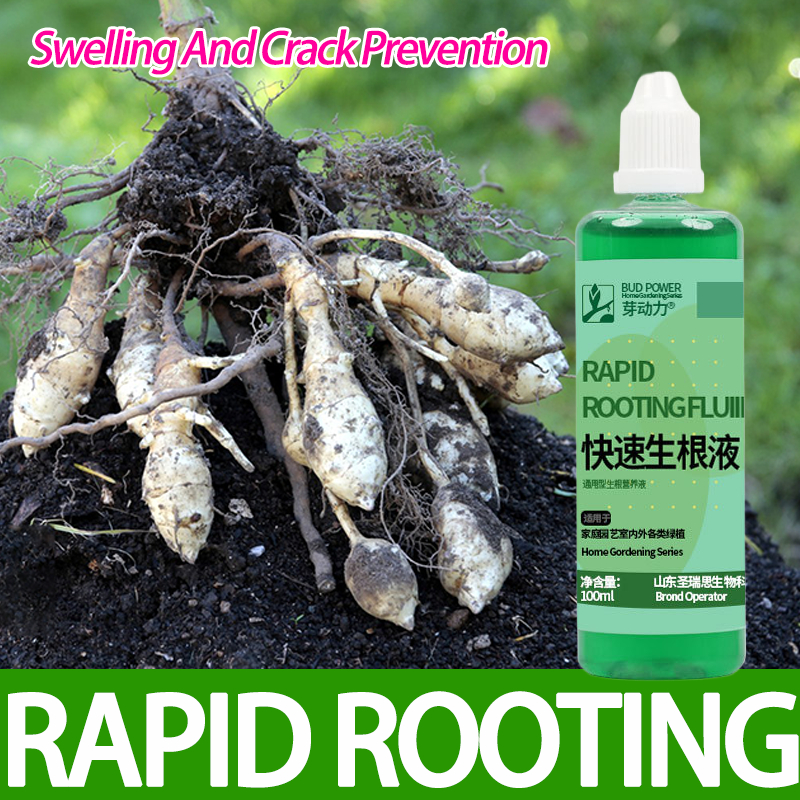 rooting solution for plants 100g | Shopee Philippines
