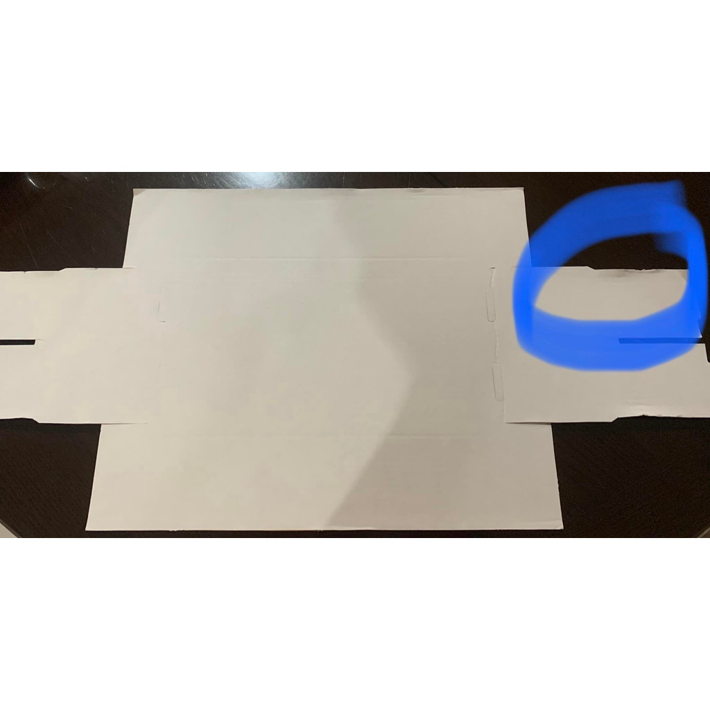 1600 CT Shoe Storage Box (5 pcs For 500) IMPERFECT | Shopee Philippines