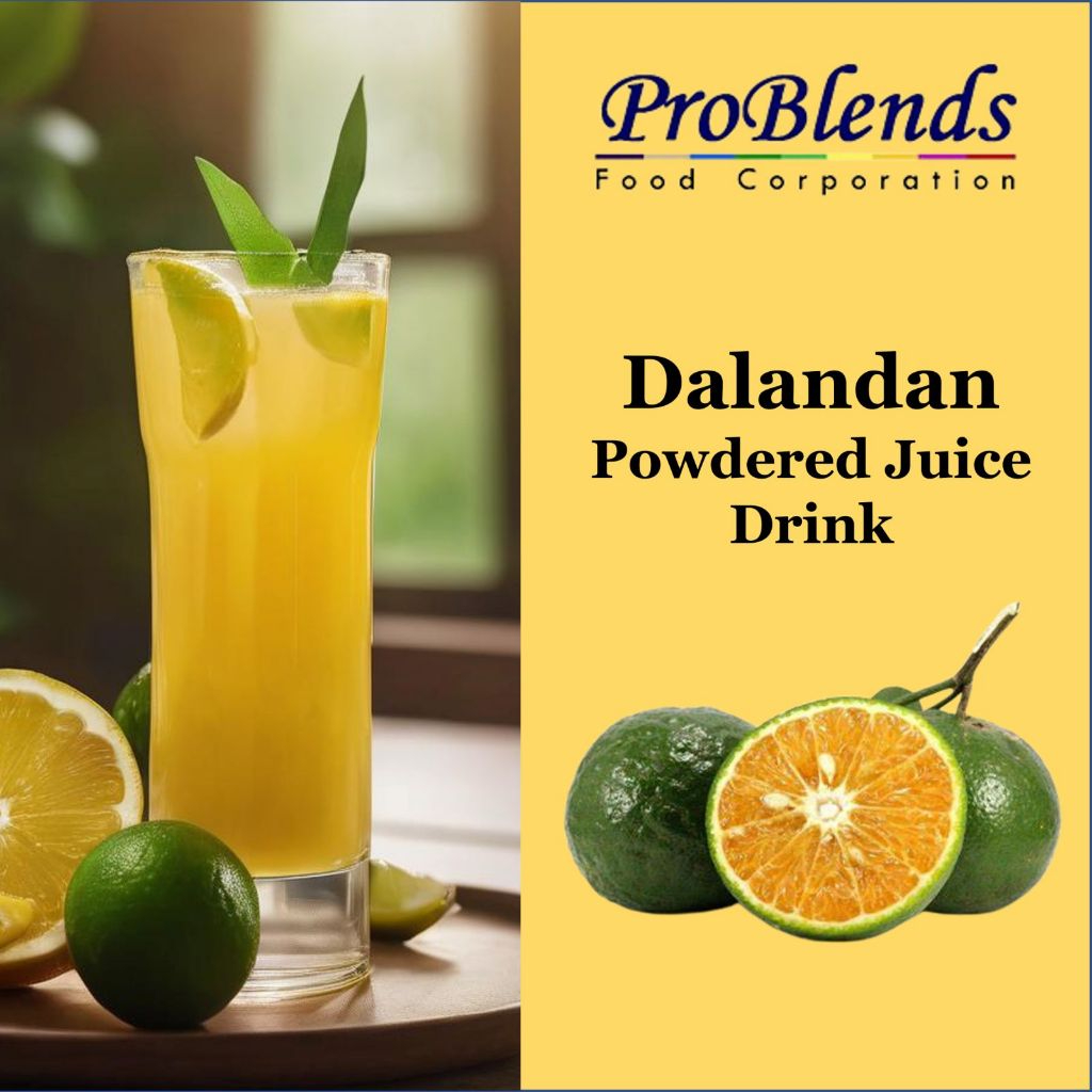 Dalandan Powdered Juice Drink 500g | 300g | Shopee Philippines