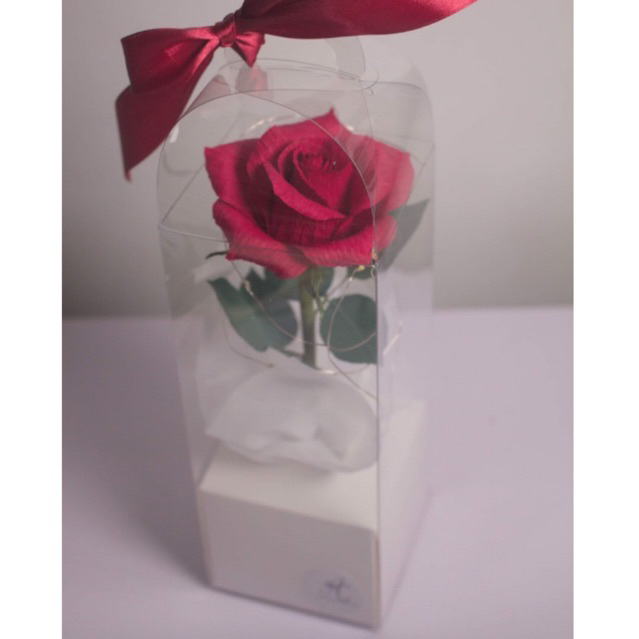 ALAYA PAPER BLOOMS - Paper Flowers in Acetate Display Box with Lights ...