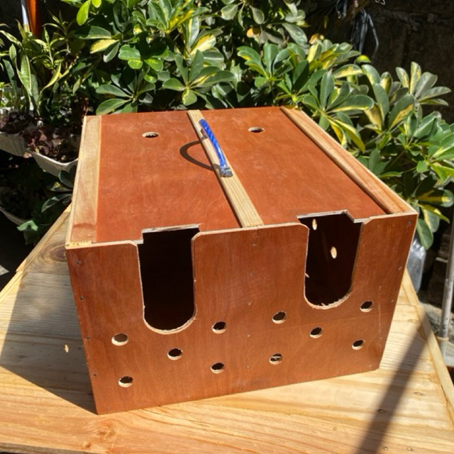 Wooden Derby Box 1 or 2 division (Kulungan ng manok) Single/ Double COD ...