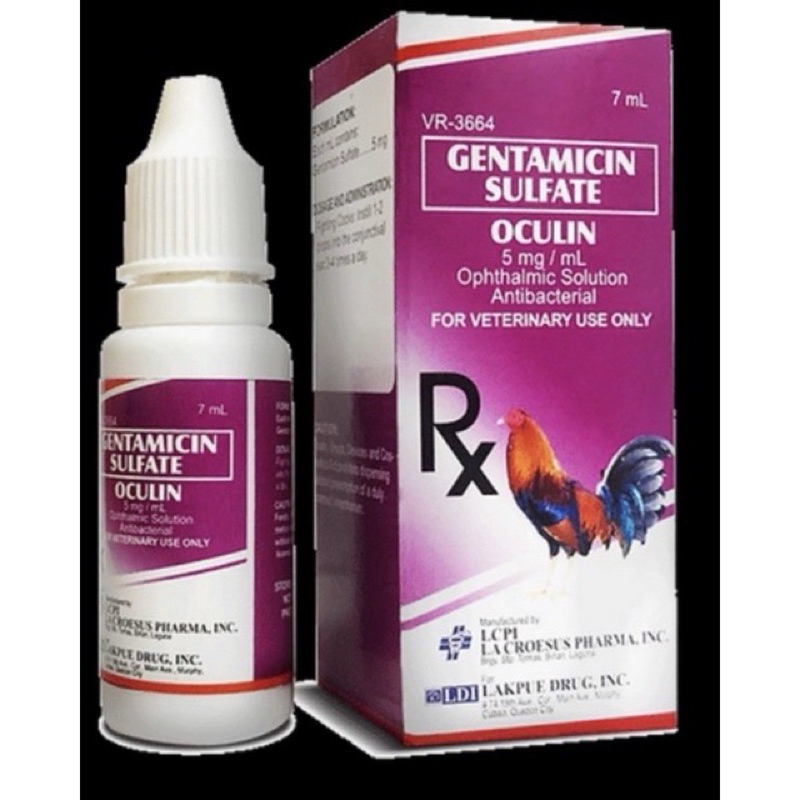 Oculin Gentamicin sulfate 5mg/ml ophtalmic solution Antibacterial 7 ml ...