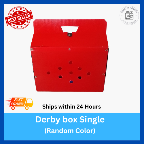 Derby box single / Random color / Collapsible / Cock box / Game fowl ...