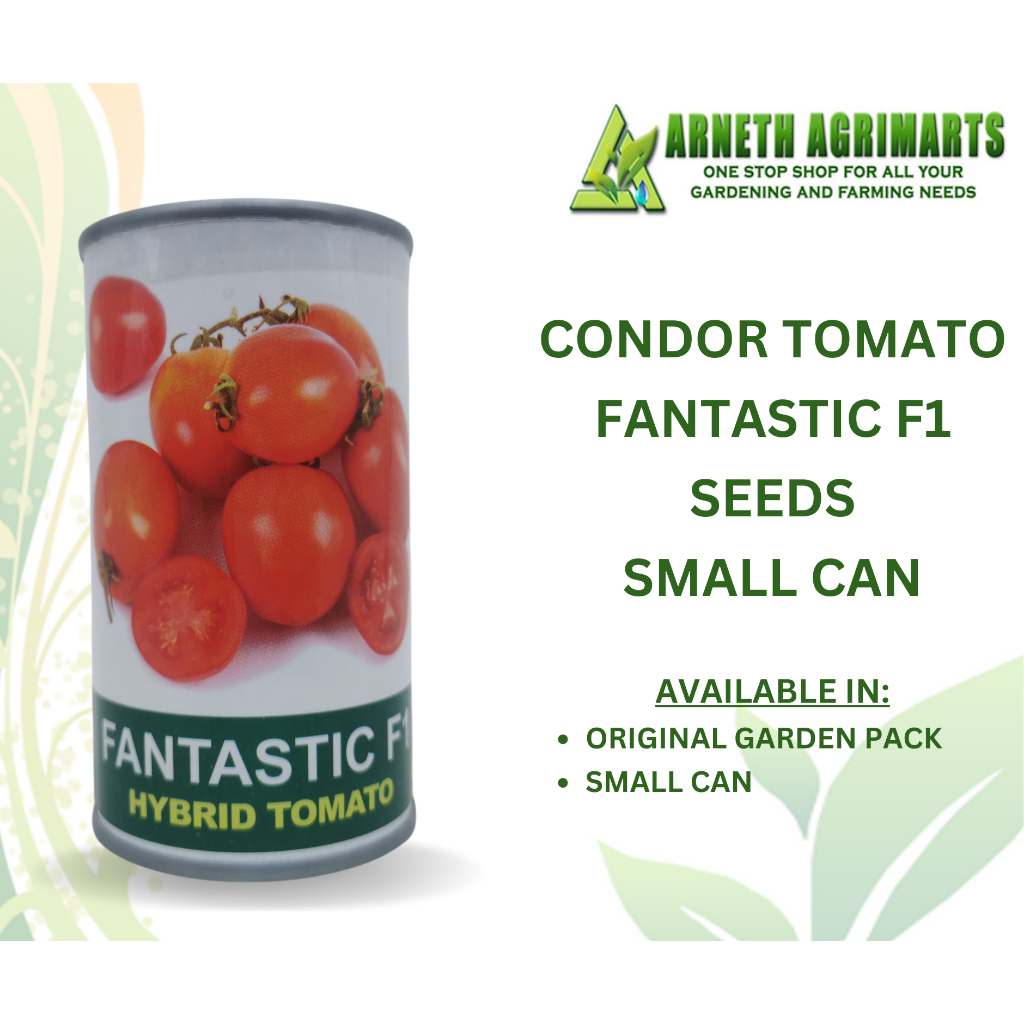 HYBRID TOMATO FANTASTIC F1 SEEDS BY CONDOR SMALL CAN (560 SEEDS ...