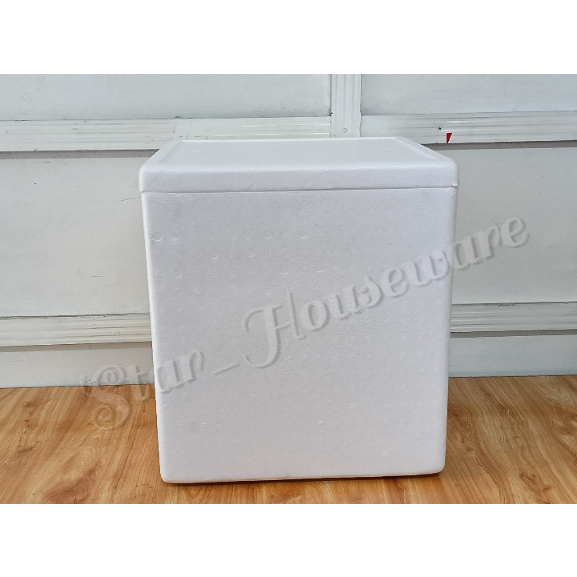 (BIG BOX) STYROBOX / STYRO BOX / PICNIC BOX ICE CHEST / ICE BOX ...