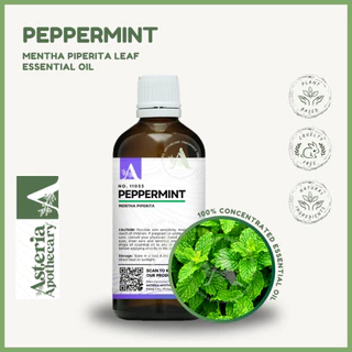 peppermint - Best Prices and Online Promos - Dec 2025 | Shopee Philippines