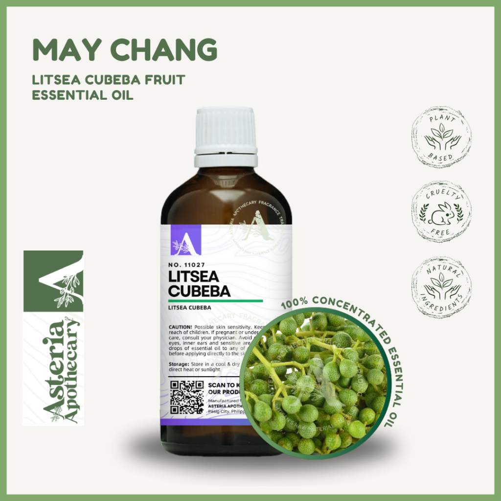 May Chang (Litsea cubeba) Essential Oil - Asteria Apothecary | Shopee ...